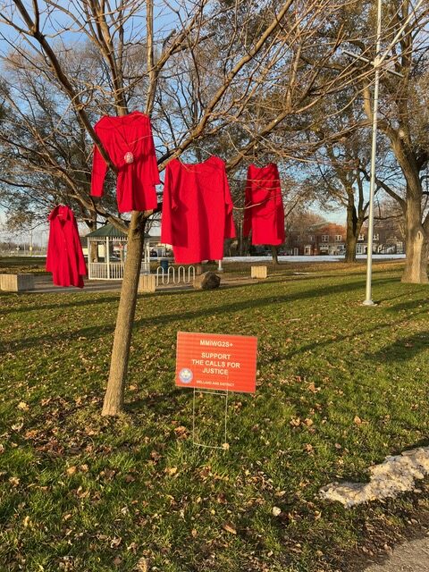 Red Dress Campaign - Canadian Federation of University Women